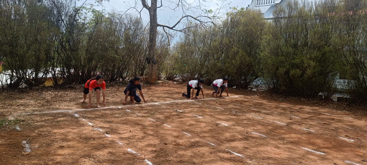 Mount Royal College and Sister Campus Munnar Catering College Students ...
